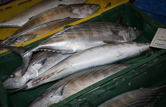 Znate li zašto baš petkom jedemo ribu? - Dubrovački dnevnik