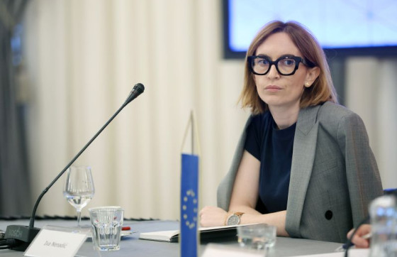 INTERVJU IVA NENADIĆ 'Samo osam posto Hrvata spremno je plaćati ...