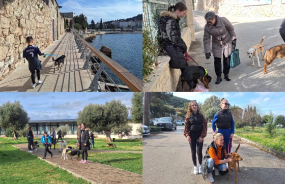 Druženjem do udomljenja: Još jedna uspješna šetnja pasa iz Azila ...