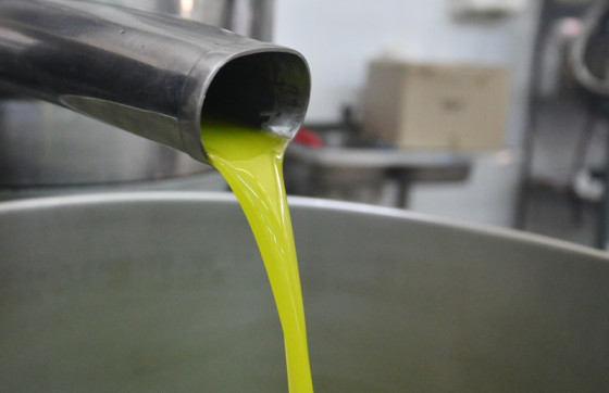 Zašto Je Naše Maslinovo Ulje Najskuplje U Europi Stručnjak Kupite