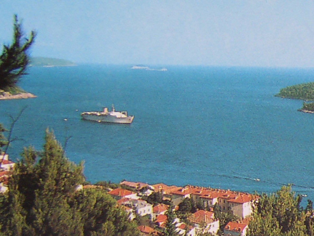 TS "FLAVIA" Prevozila je emigrante iz Europe u Australiju, trebala je ...